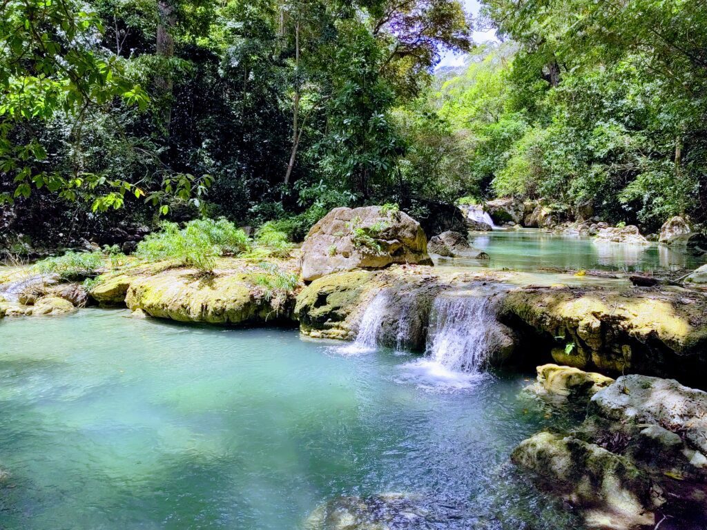 Quién fue Marco Antonio Montes de Oca Balderas