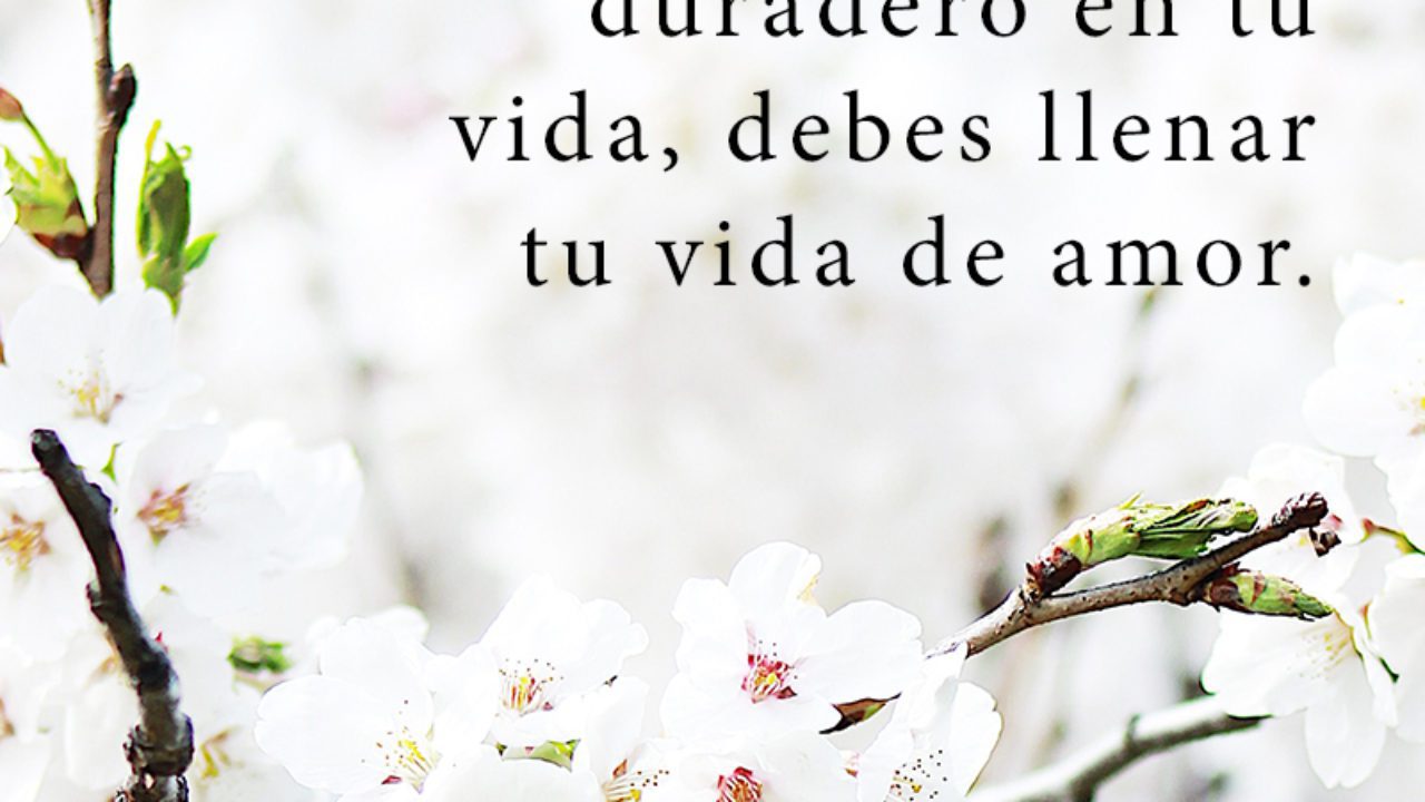 Cuáles son las mejores frases de la vida y el amor para reflexionar